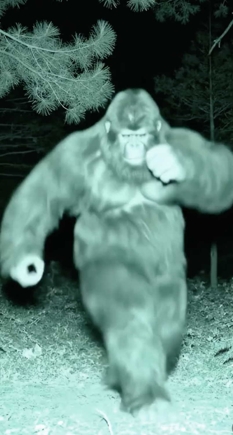 Equinox Warns Against the Dangers of AI in Provocative Ad Campaign ...